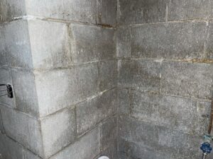 RENODRY USA - Rising damp and house protection specialist